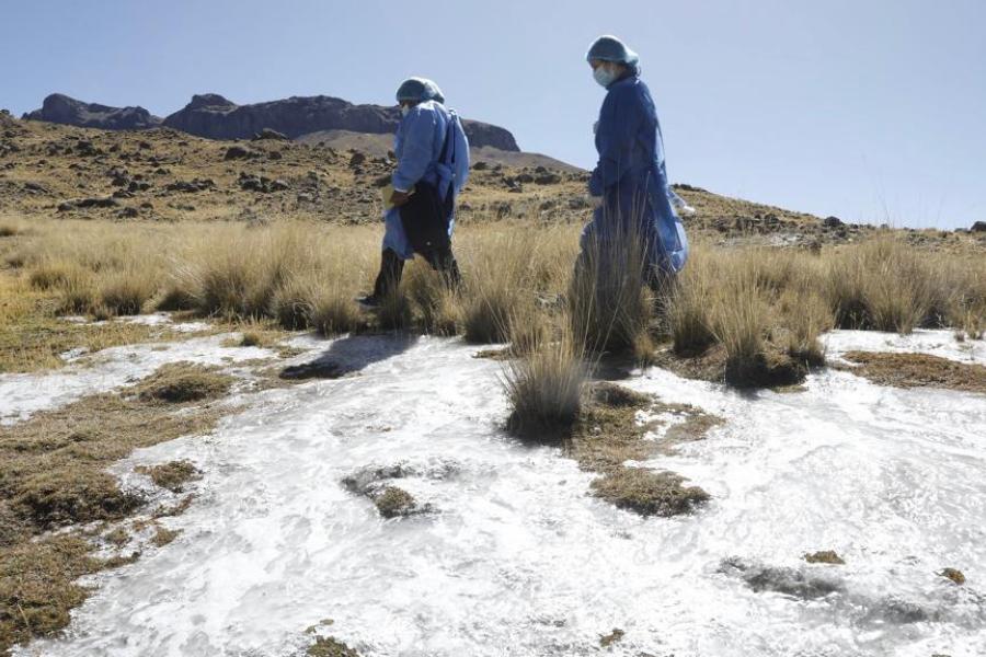 Salud humana, animal y ambiental: Socios En Salud avanza con el enfoque ...